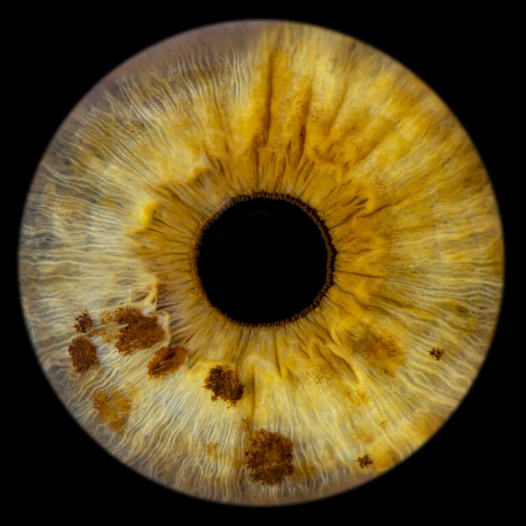 start | iris-fotografie-by-FotoHirsch