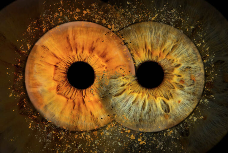 angebote | iris-fotografie-by-FotoHirsch