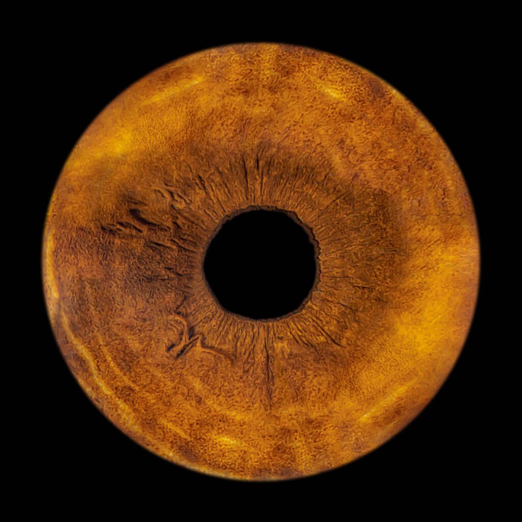 academy / iris-fotografie-by-FotoHirsch