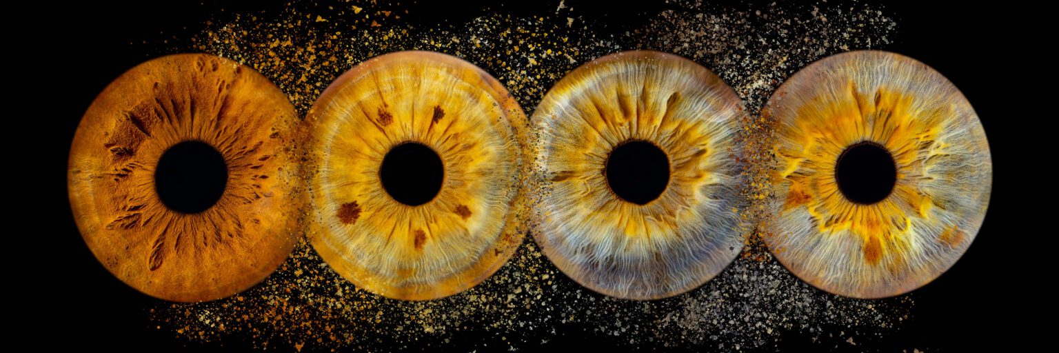 galerie | iris-fotografie-by-FotoHirsch | aus Deiner Iris wird Kunst ...