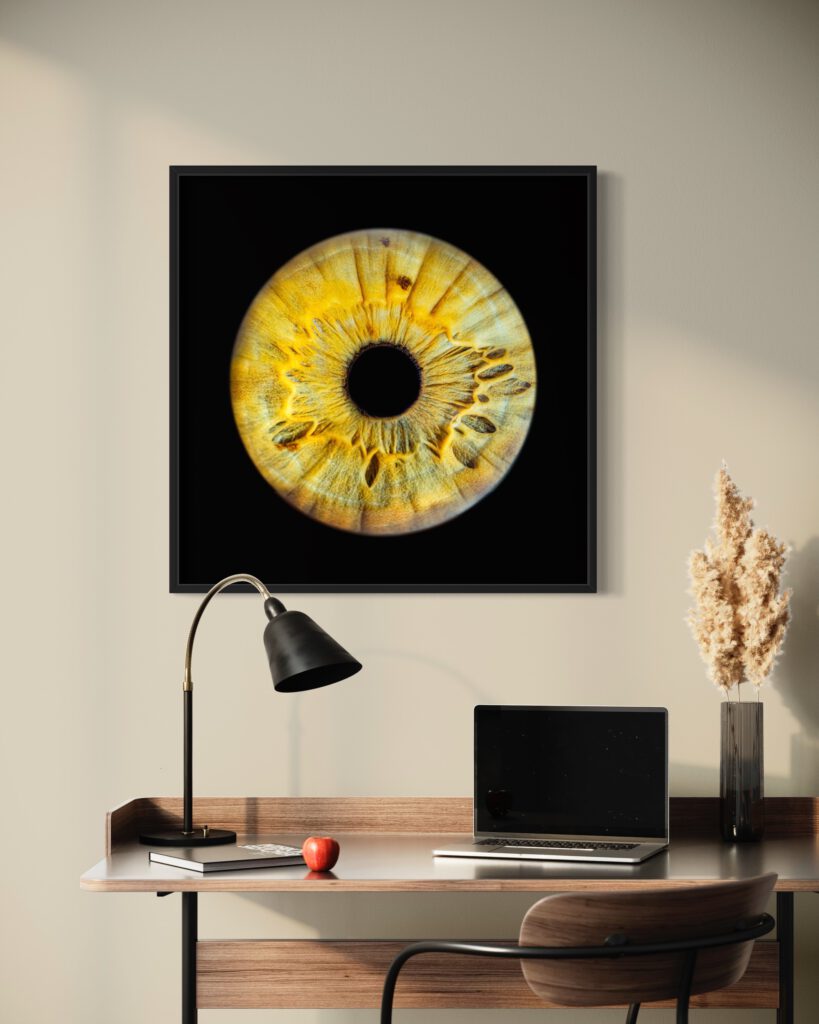 academy / iris-fotografie-by-FotoHirsch